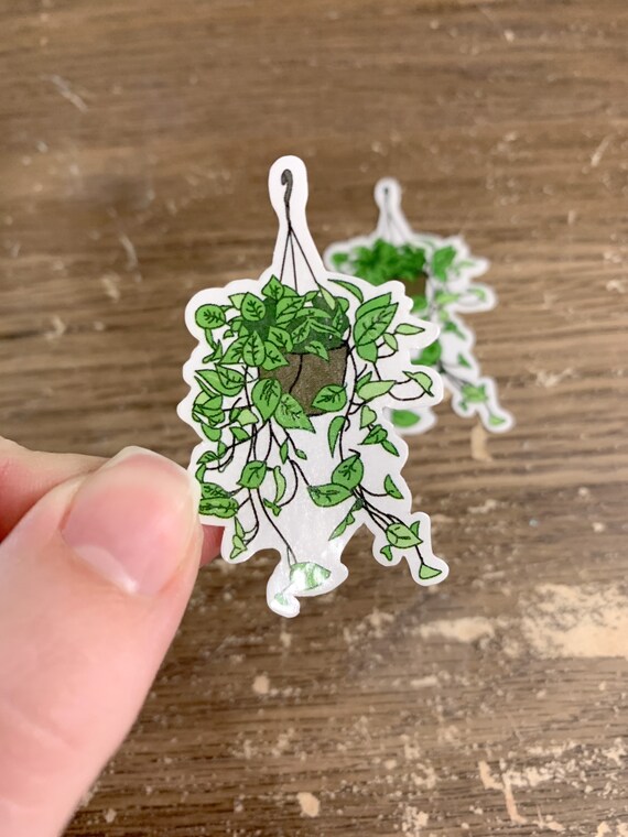 Hanging Plant Sticker | Etsy