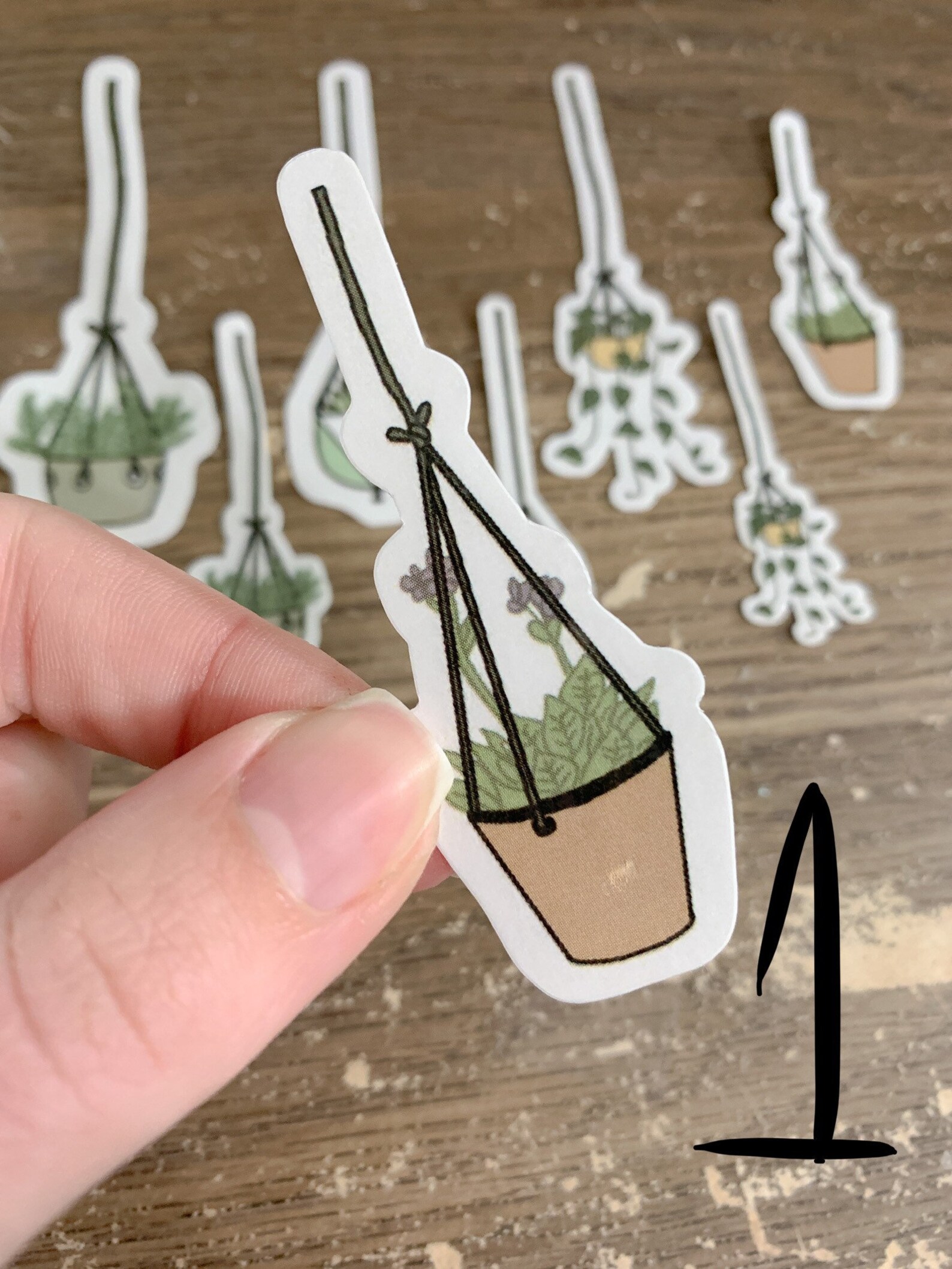 Hanging Plant Sticker Pack - Etsy