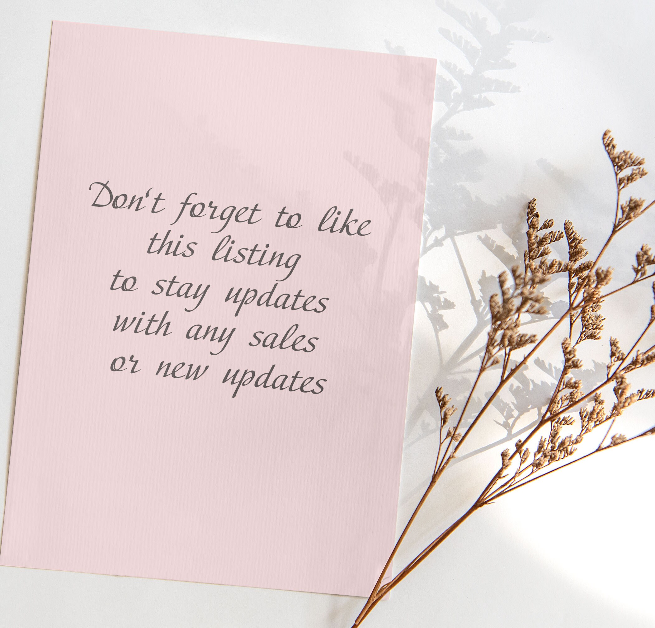 Plus Size Quotes Tumblr