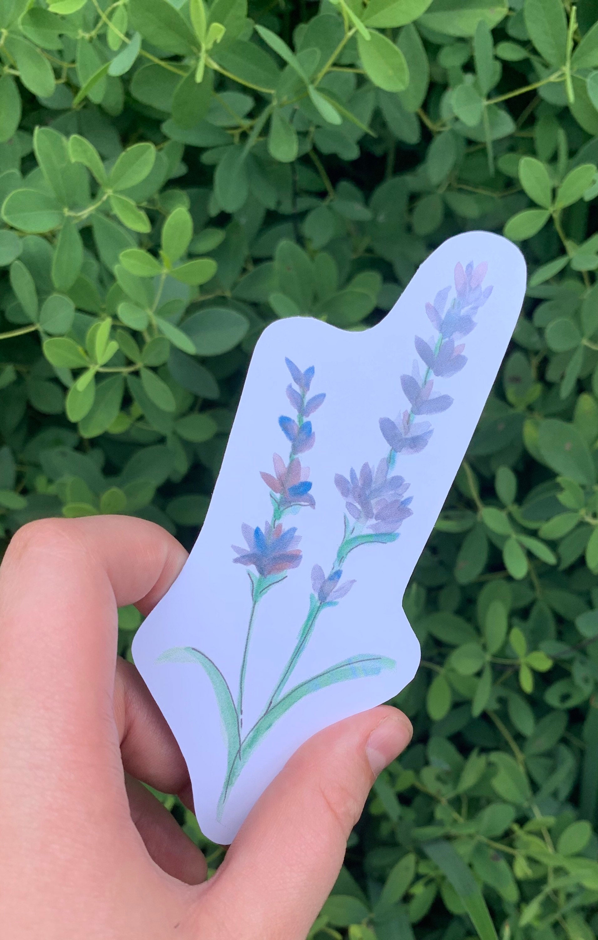Lavender Sticker Flower Stickers Waterproof Sticker Water | Etsy