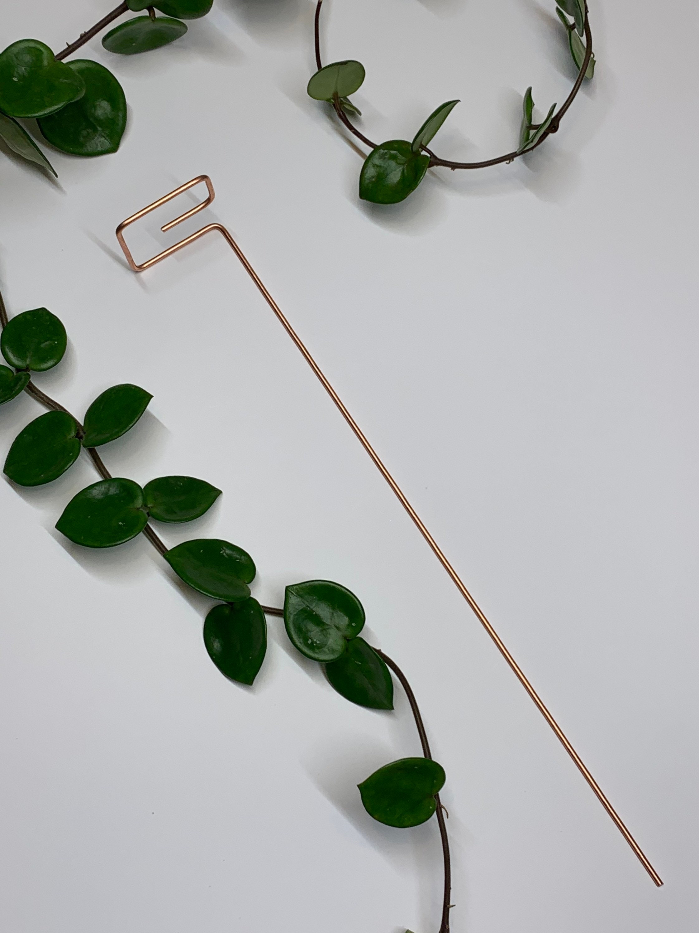 Copper Trellis Boxed | Etsy