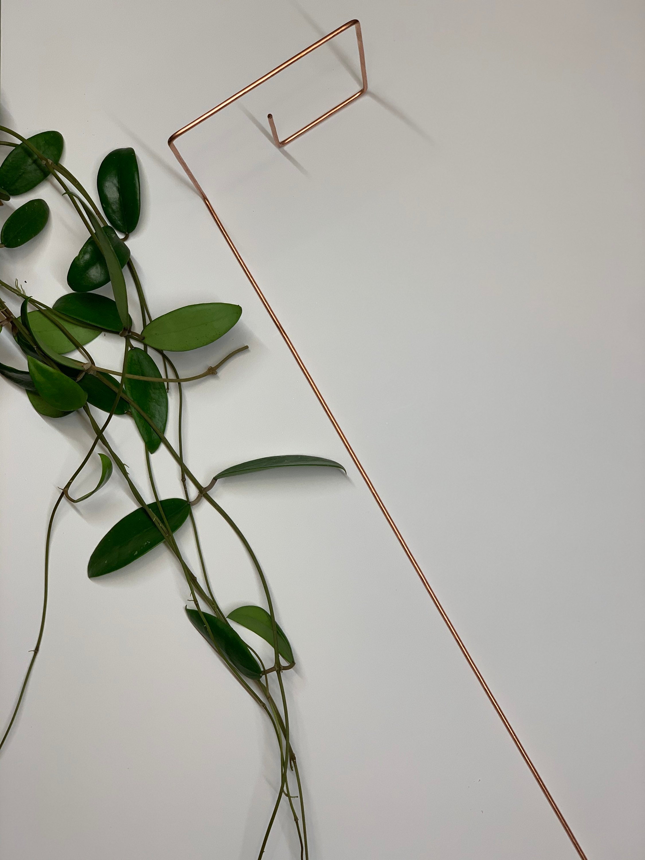 Copper Trellis Boxed | Etsy