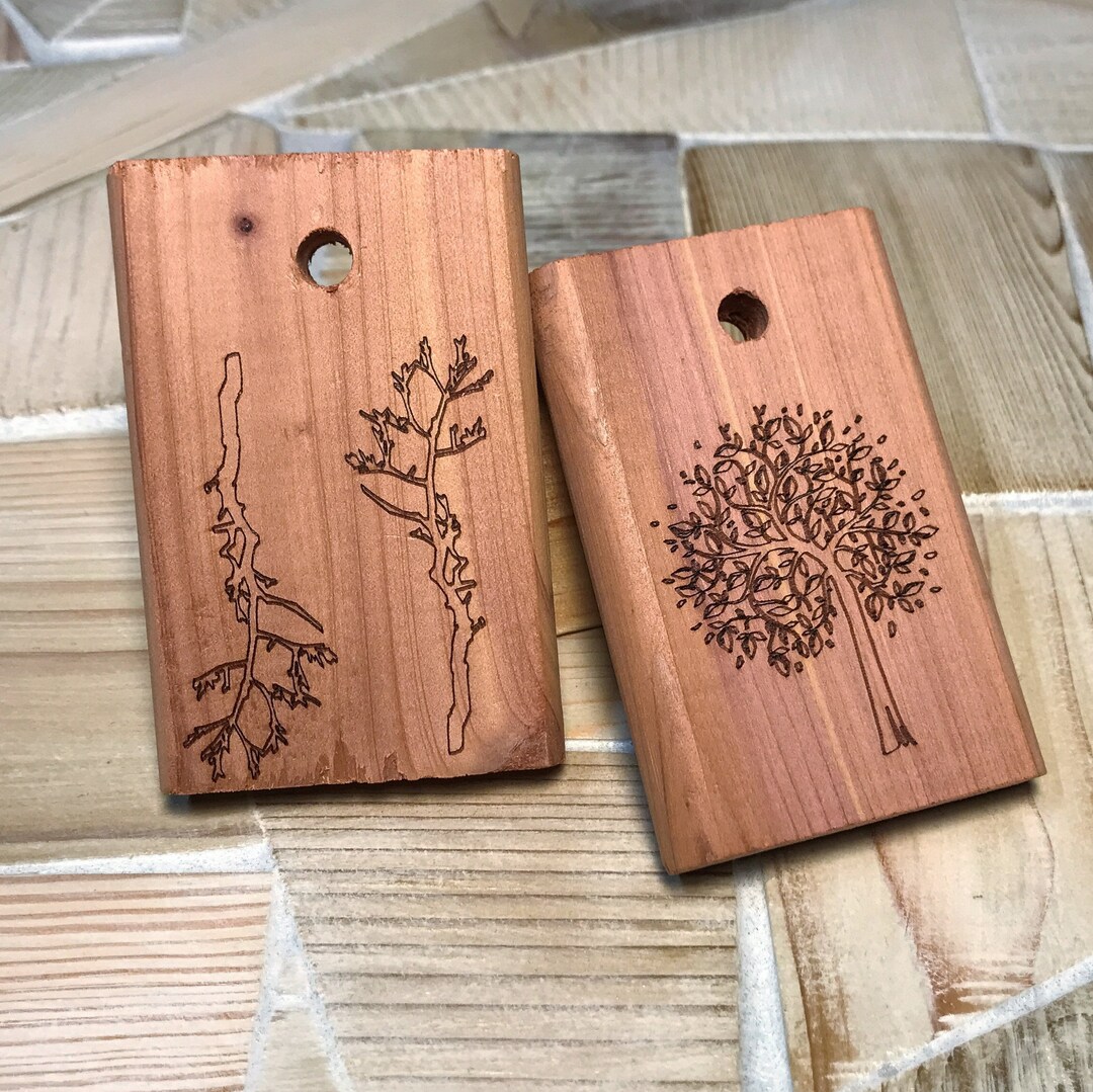 Cedar Blocks for Closets Insect Repellent - Etsy