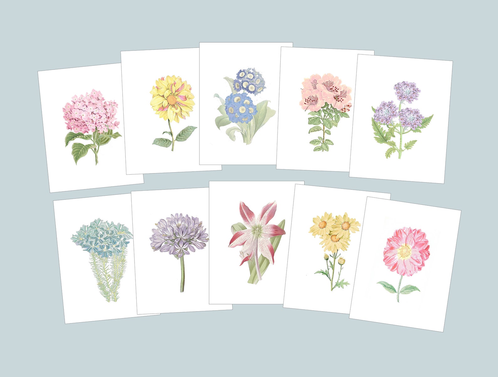 Flower Note Cards Floral Stationery Nature notecards | Etsy