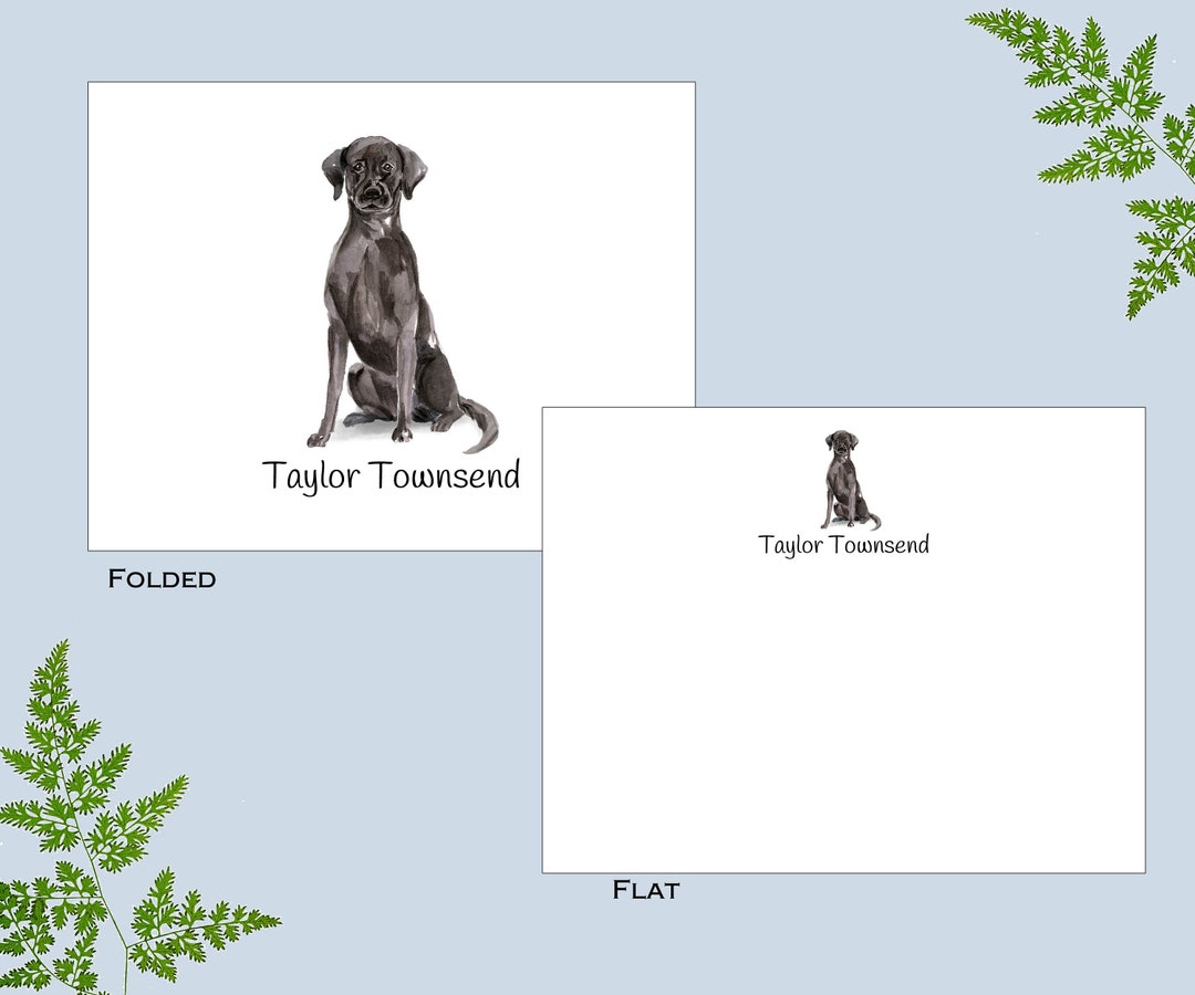 Black Labrador Note Cards, Dog Stationery, Dog Breed cards, Black Lab ...
