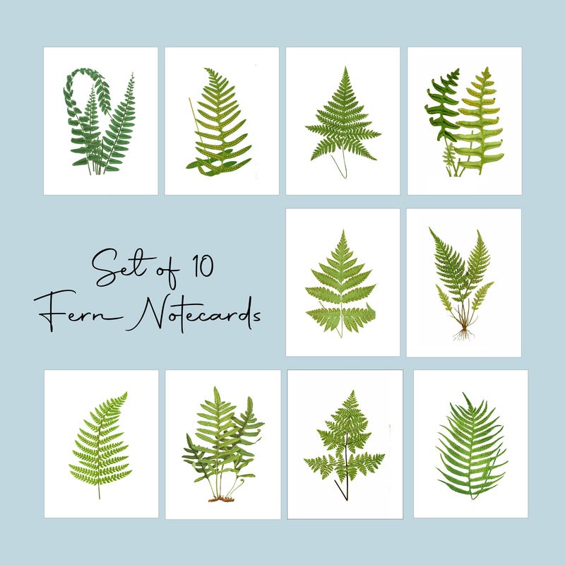 WhimsyNotecards - Etsy