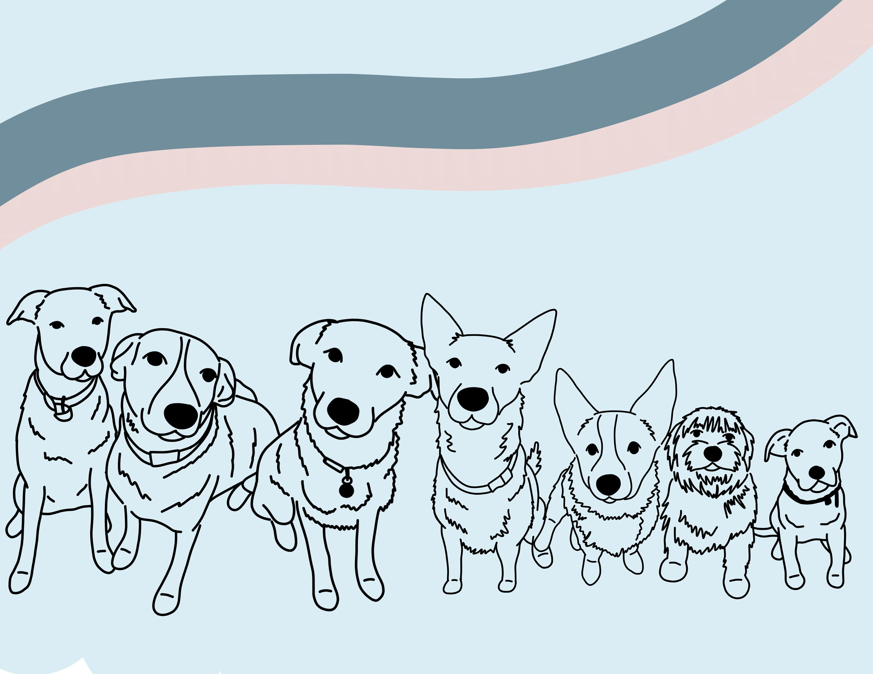 Custom Pet Car Decal/Custom Pet Sticker/Vinyl Sticker/Vinyl | Etsy