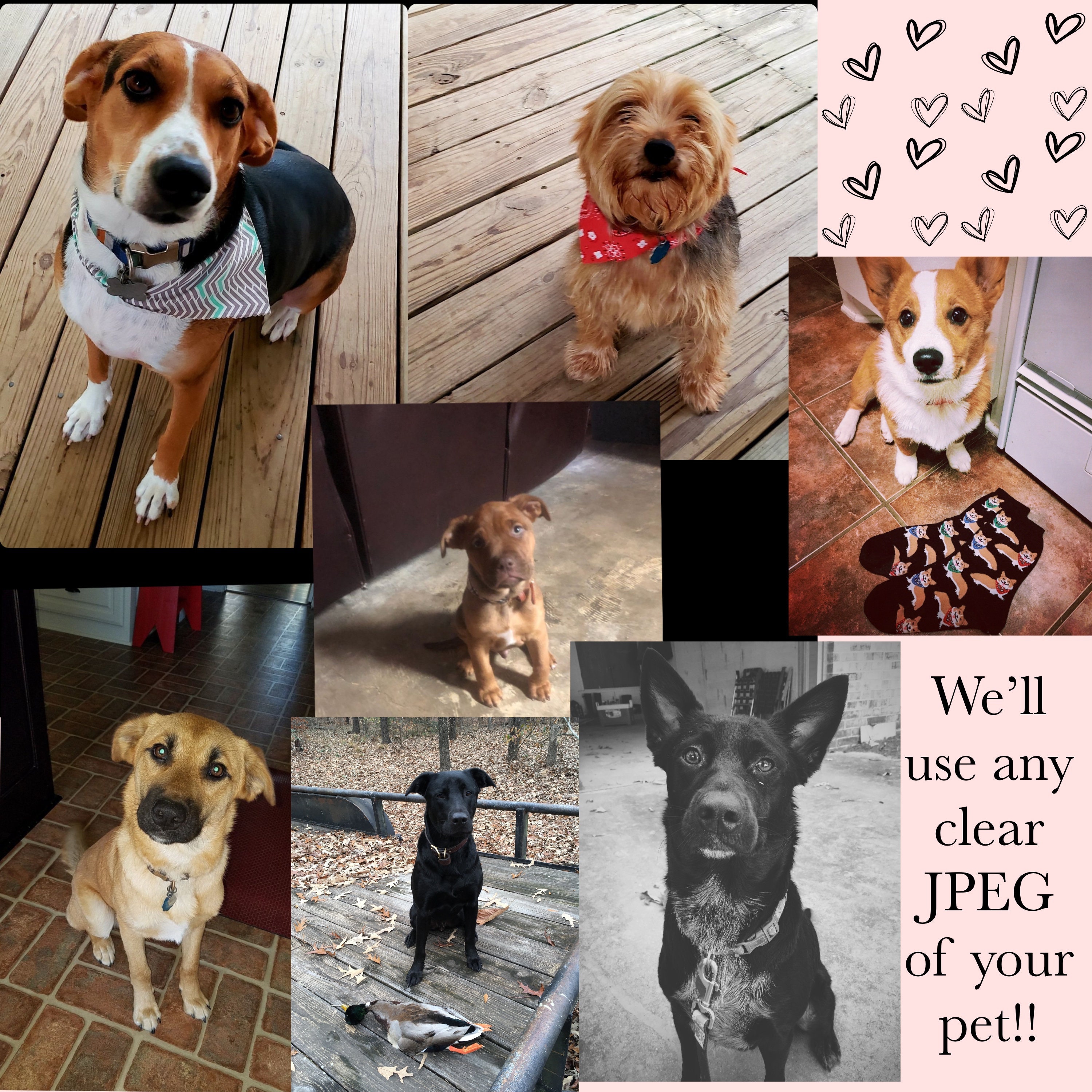 Custom Pet Car Decal/Custom Pet Sticker/Vinyl Sticker/Vinyl | Etsy