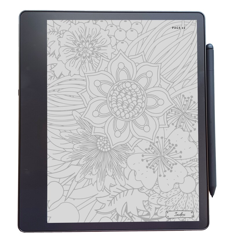 Tracing Doodle Fancy Flowers Pages for Kindle Scribe Book 2, Navigation ...