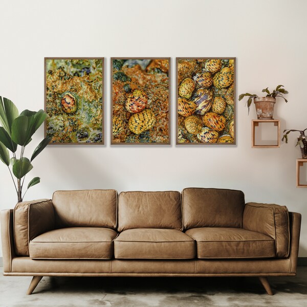 Snails Wall Art - Etsy