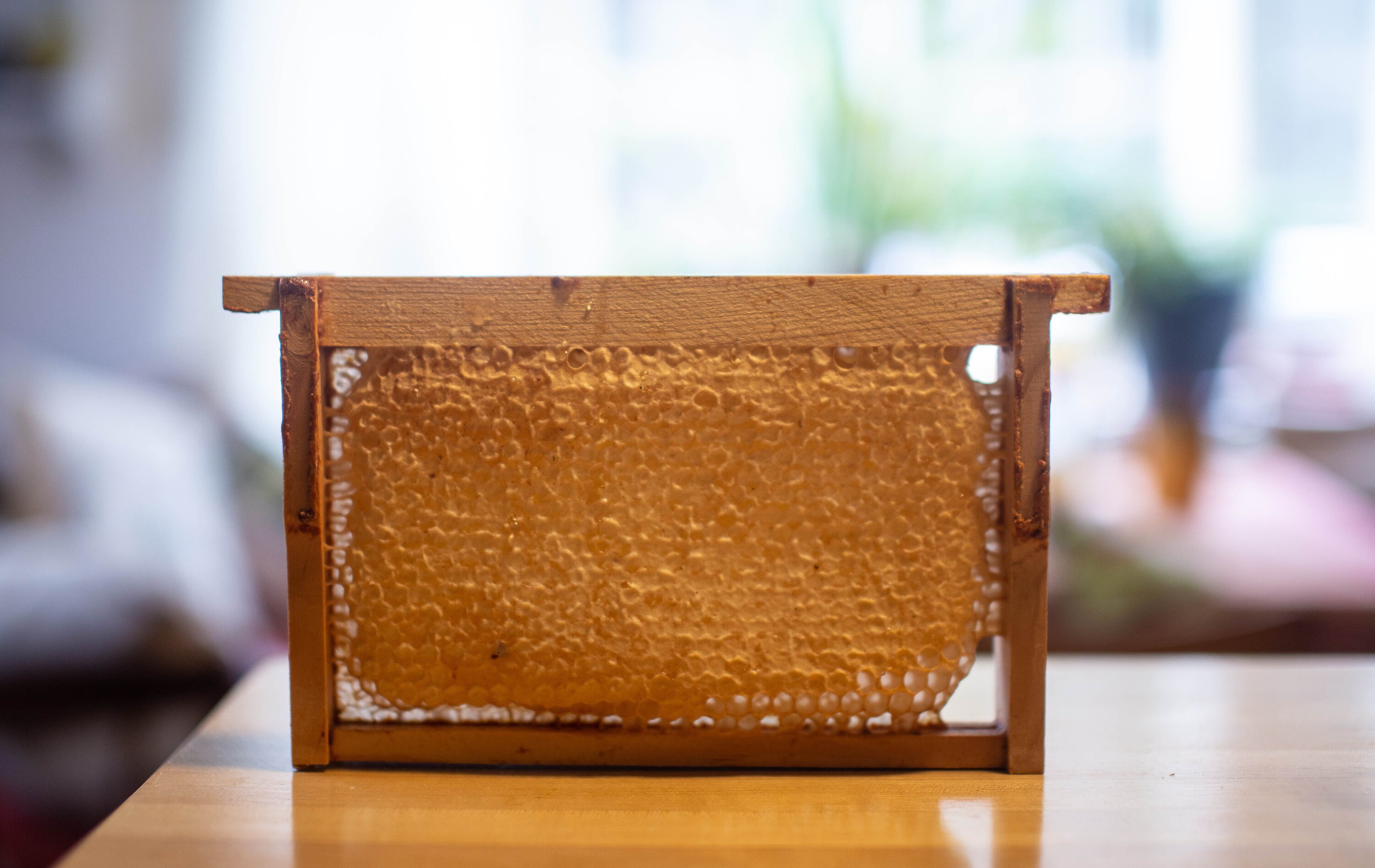 100% Pure Honeycomb in Half Size Frame - Etsy