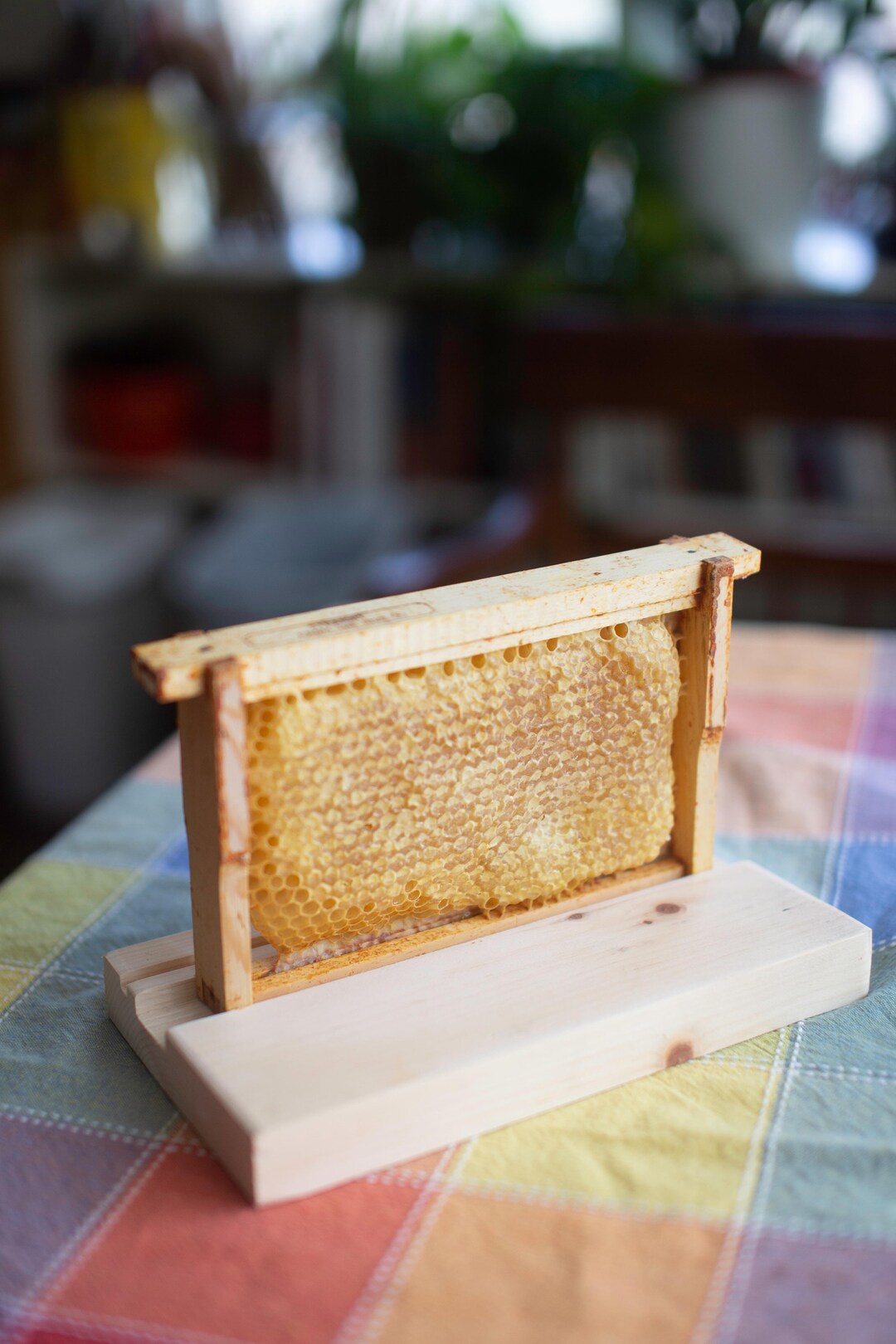 100% Pure Honeycomb in Half Size Frame - Etsy