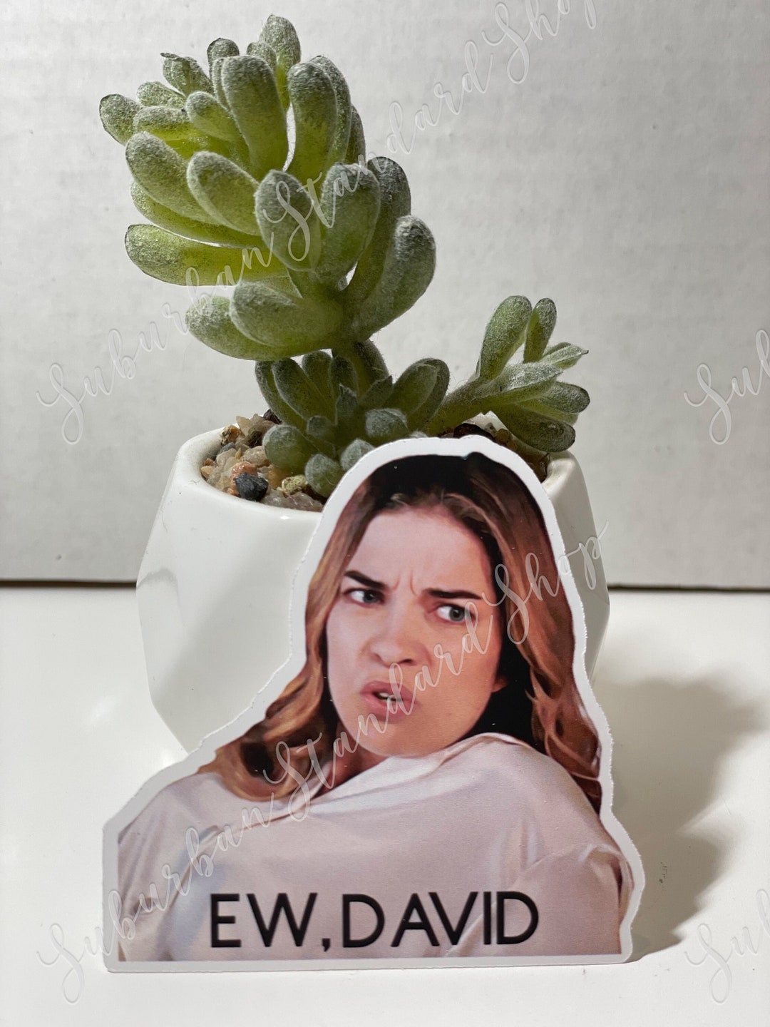 Alexis Rose - Ew, David - EW David - David Rose - Alexis Ew David ...