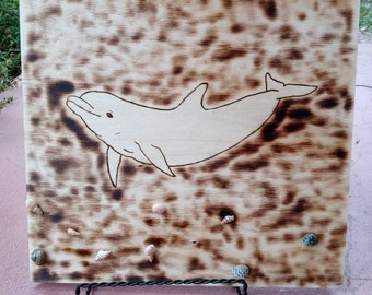 Winter the Dolphin - Etsy