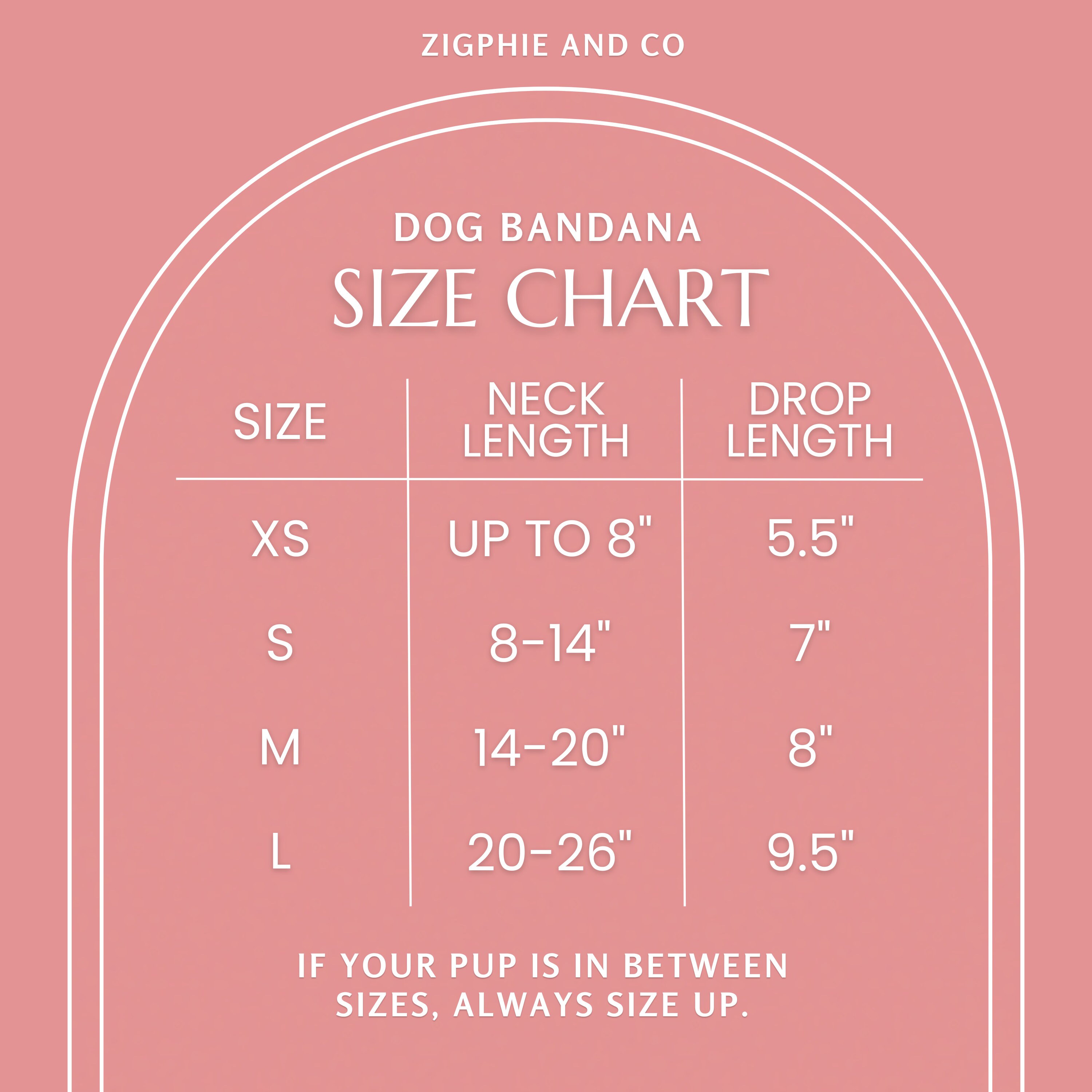 Midnights Pet Bandana // Taylor Swift Dog Bandana, Dog Bandana, Pet ...