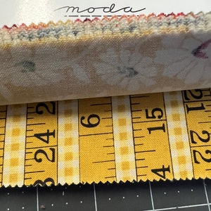 Wee Play” 5” Charm Pack by Sandy Klop American Jane for Moda Cotton ...