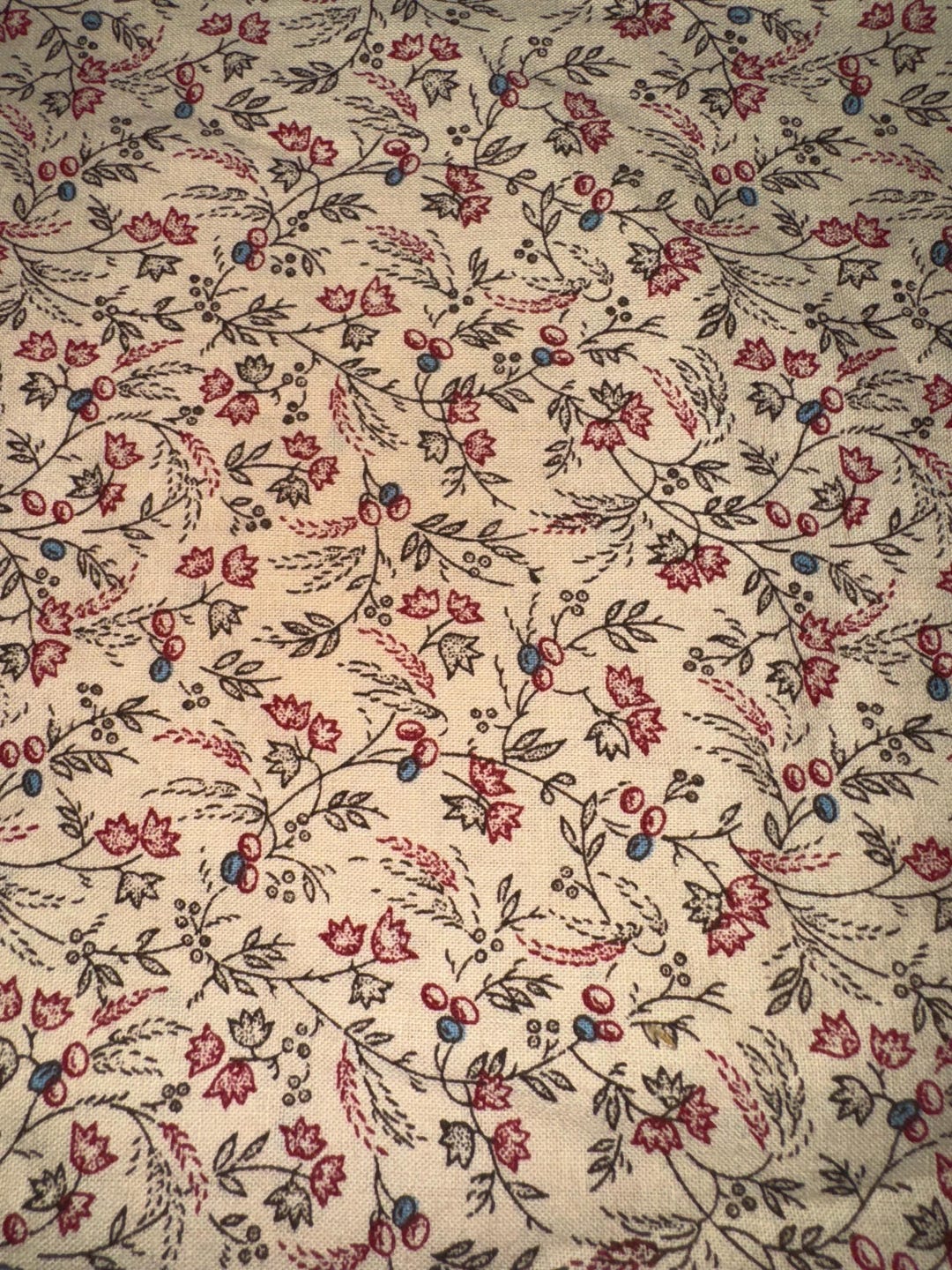 1/2 Yd 1800s Reproduction Print Cotton Fabric by Judie Rothermel for ...