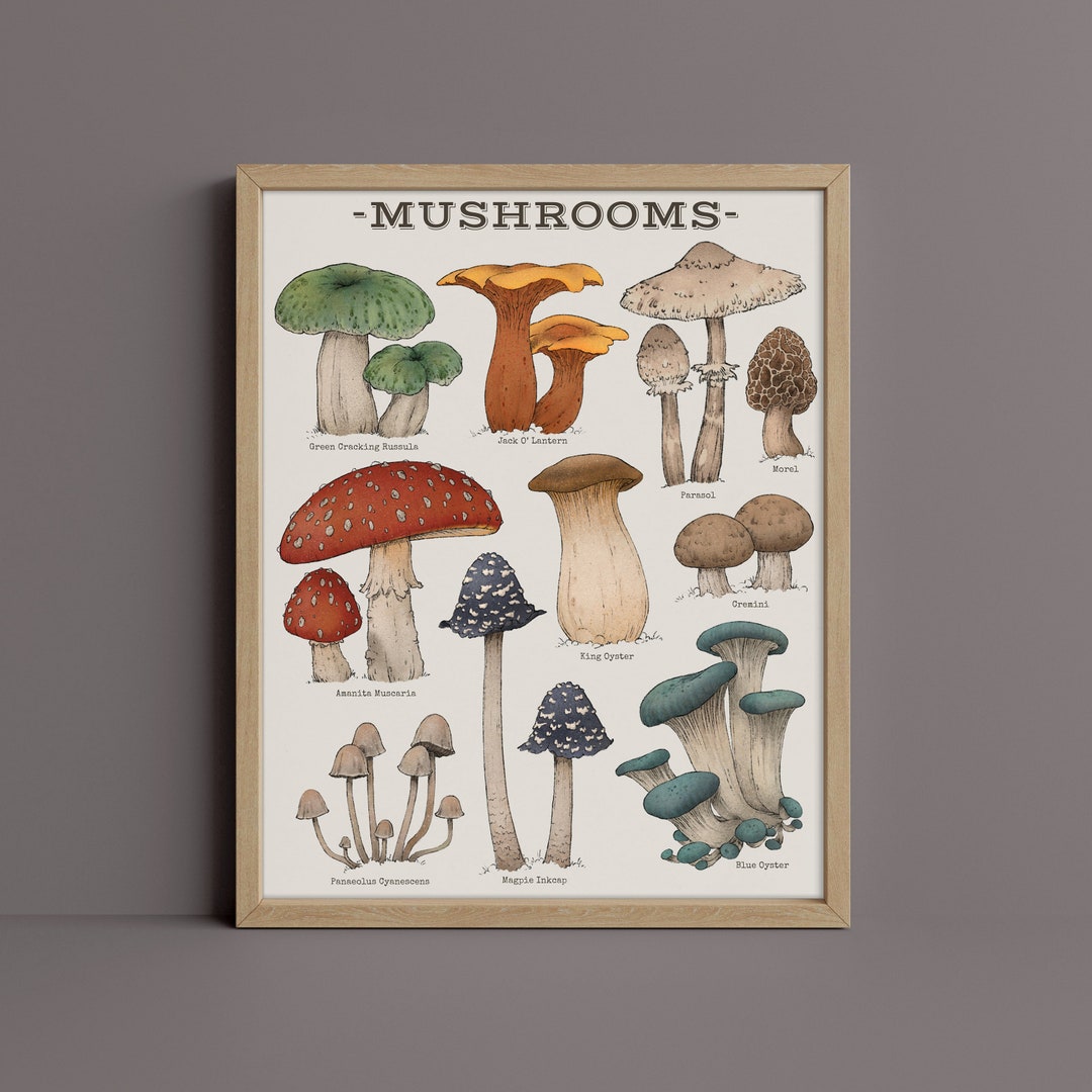 Woodland Mushroom Chart Botanical Art Print Wall Decor Unique Gift for ...