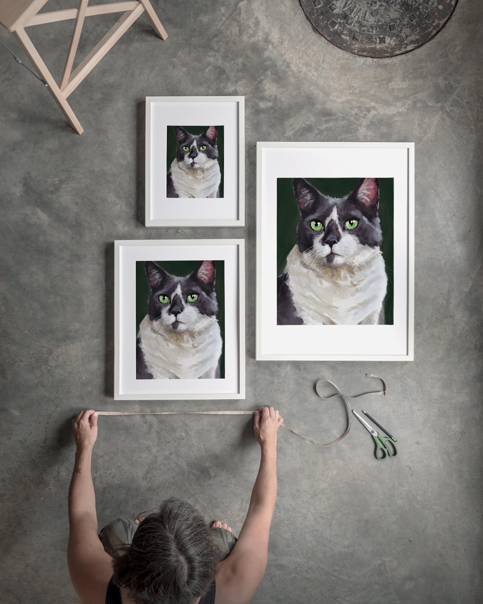 Grey Tuxedo Cat Portrait Fine Art Poster Print - Wall Decor - Unique ...