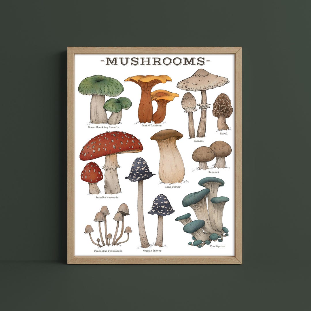 Woodland Mushroom Chart - Botanical Art Print – Floral, Nature Wall Art ...