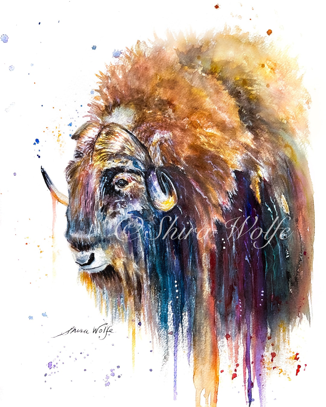 Musk Ox Watercolor Art Download - Etsy