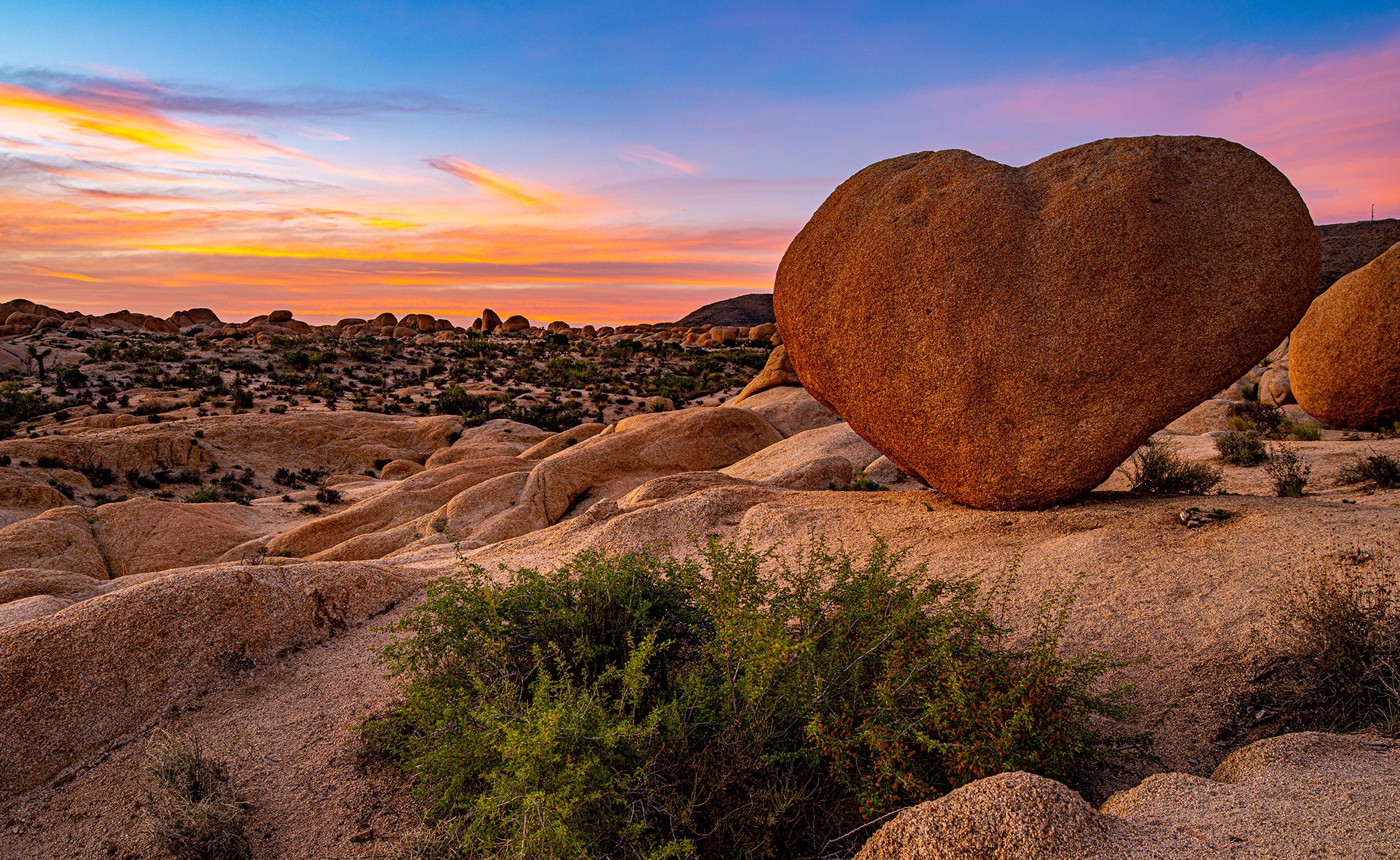 Joshua Tree National Park Heart Rock Boulders California Wall Decor ...
