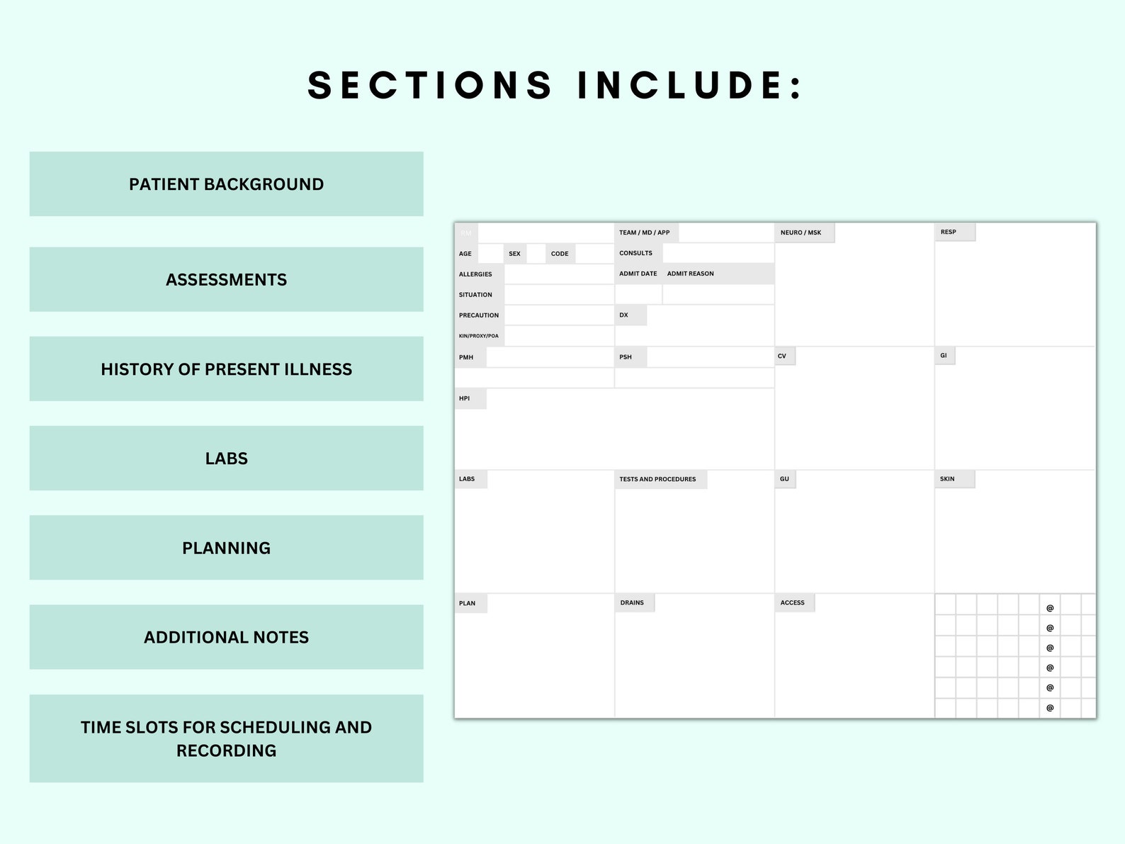 Nurse Brain Sheet for New Grad Rns - Etsy