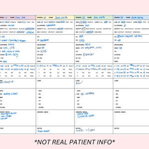 ER Nurse Report Sheet: Emergency Department Nurse Brain (digital ...