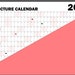 Entire Year Big Picture Calendar for 2021 - Etsy