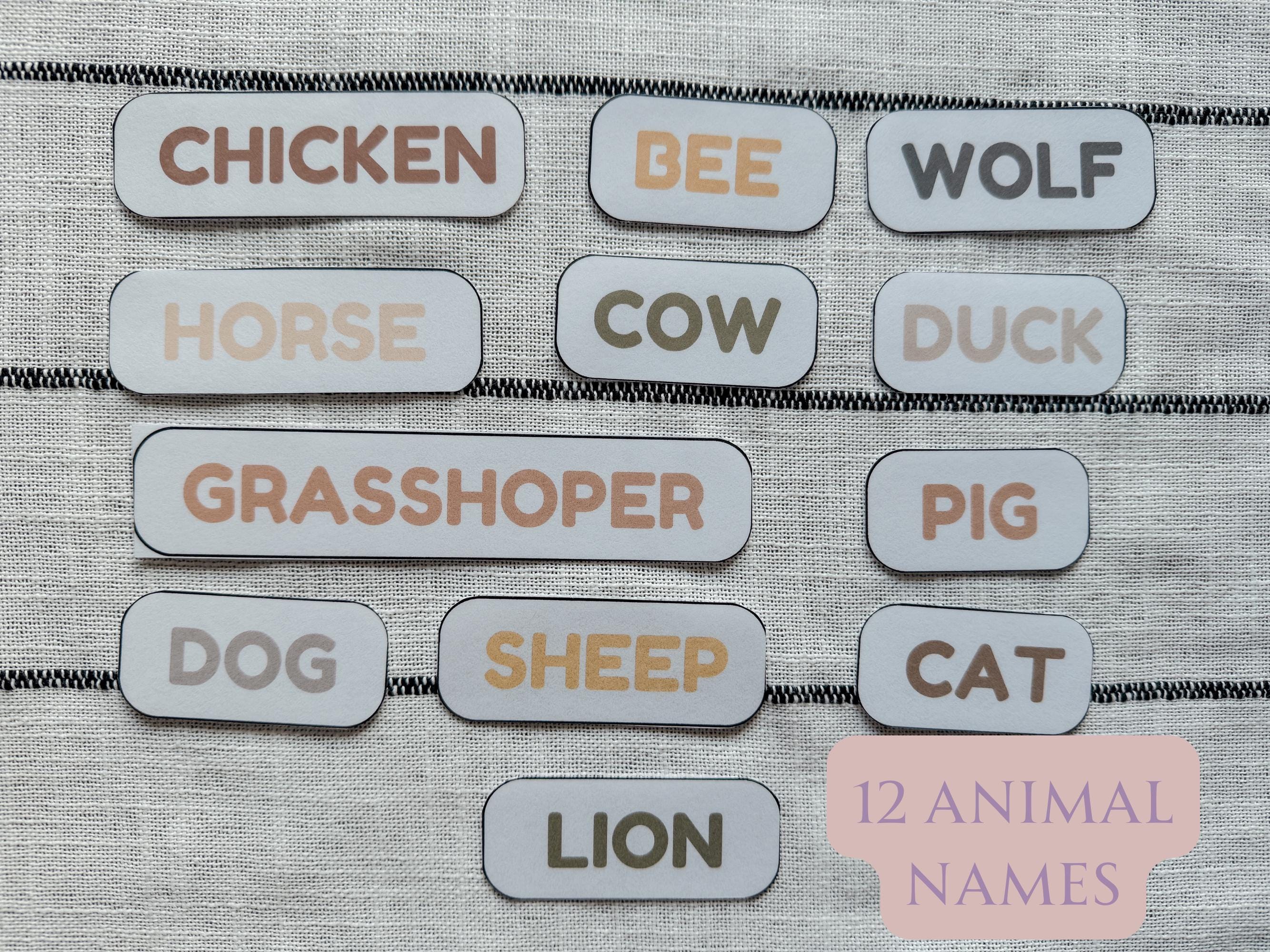 Animal Sounds Activity Homeschool Engaging Lesson for Toddlers ...