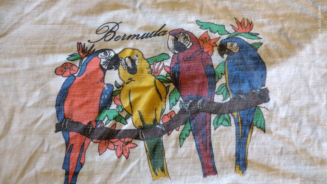 Vintage 70s 80s Bermuda Surfer Hippie Belly Shirt Tee XL Cropped T ...