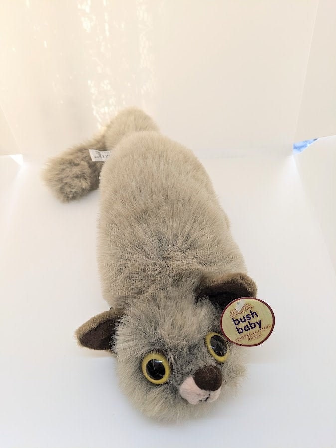 Bush Babies As Pets