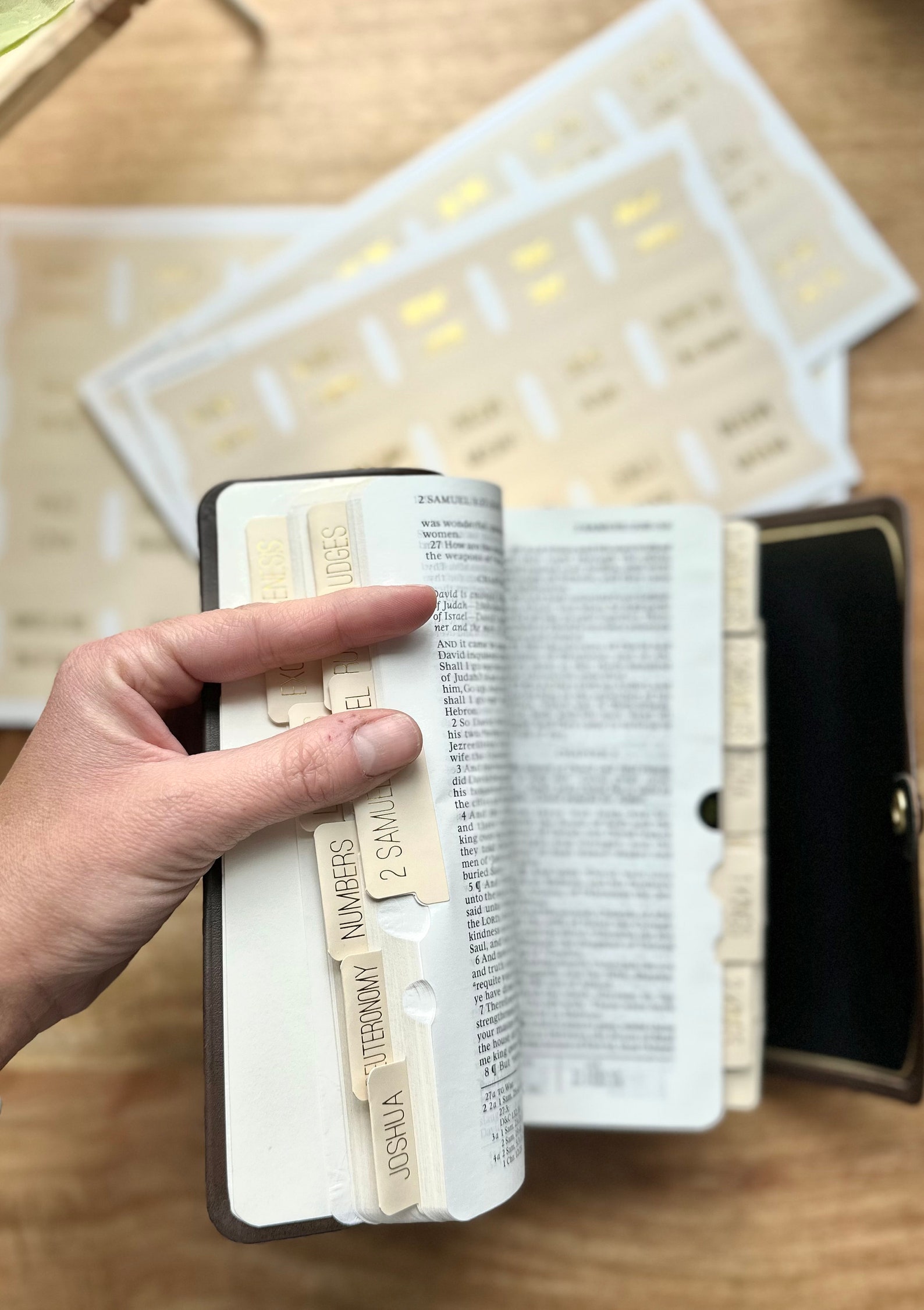Minimalist Bible and LDS Book of Mormontab Stickers Laminated ...