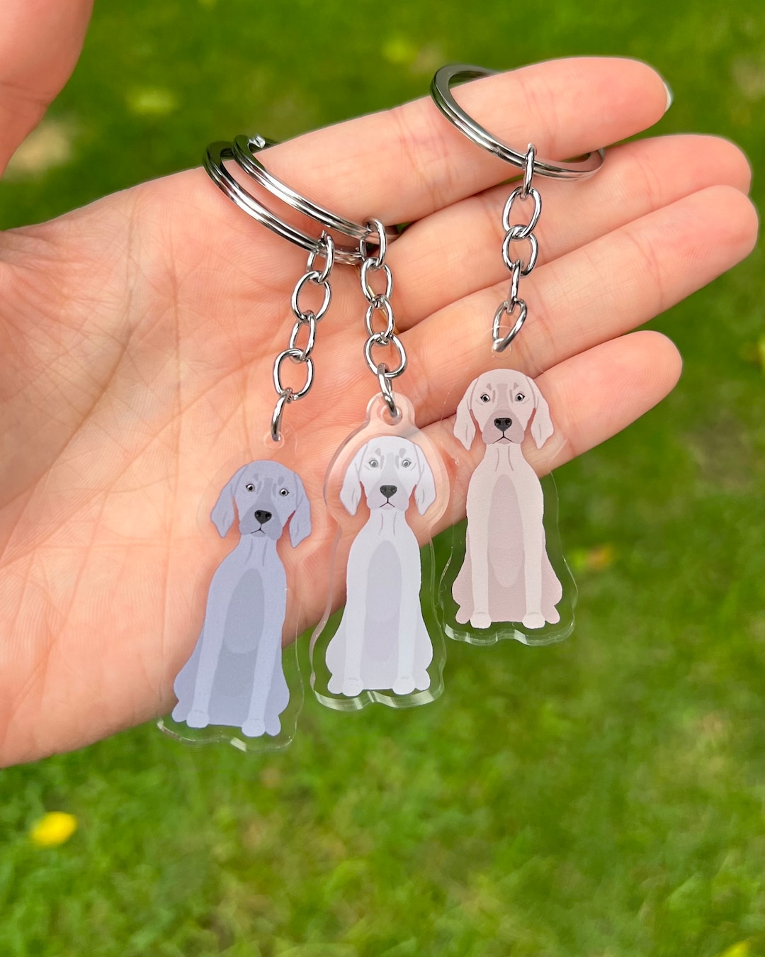 Weimaraner Keychain Clear Acrylic Dog Breed Keychain Weimaraner ...