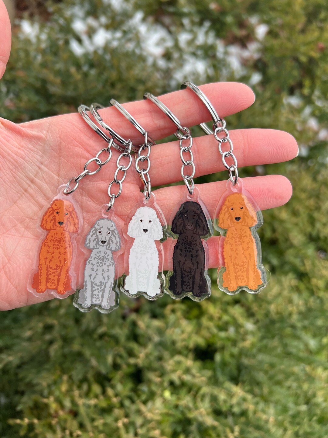 Standard Poodle Acrylic Dog Breed Keychain - Etsy