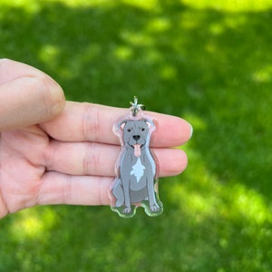 Pitbull Dog Keychain | Cute Dog Gift | Pet Breed Keyring - Etsy