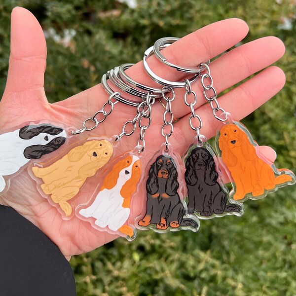 Cocker Spaniel Gifts - 60+ Gift Ideas for 2024