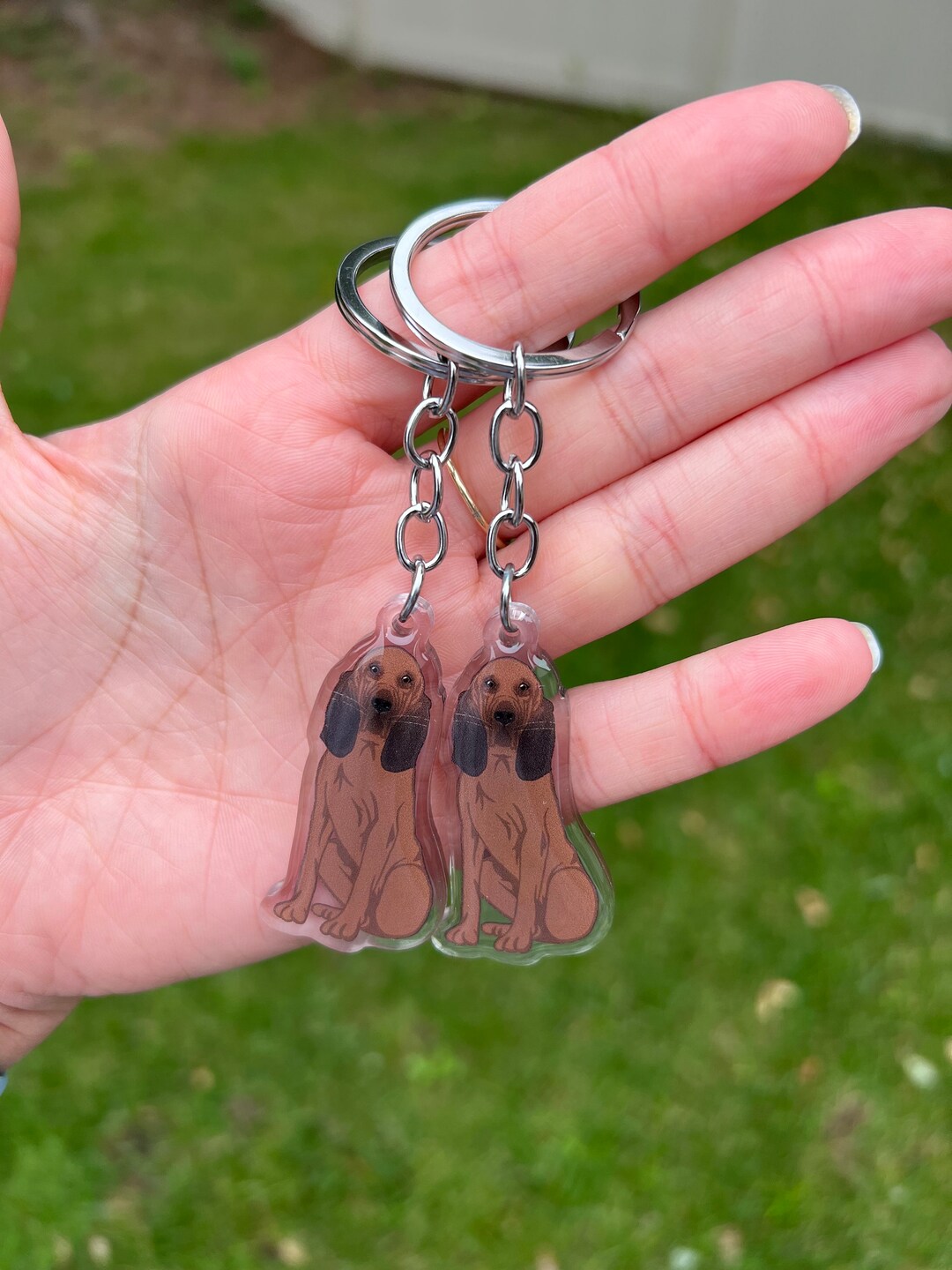 Bloodhound Acrylic Dog Breed Keychain - Etsy