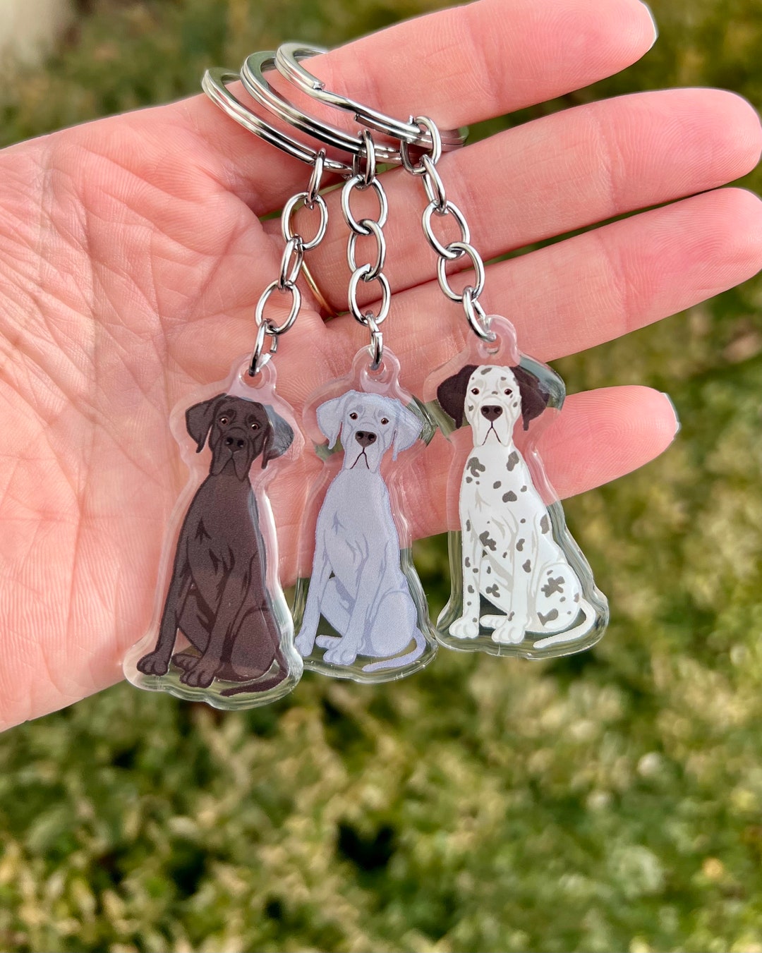 Great Dane Keychain Clear Acrylic Dog Breed Keychain Great Dane Dog ...