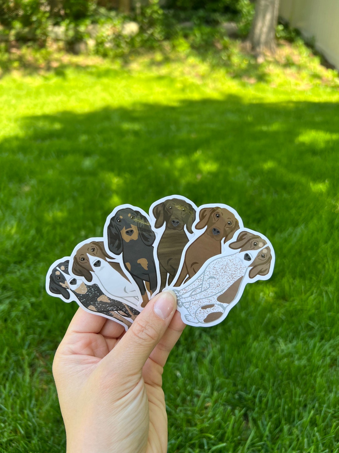 Coonhound Dog Die Cut Sticker | Waterproof Laptop & Water Bottle Decal ...
