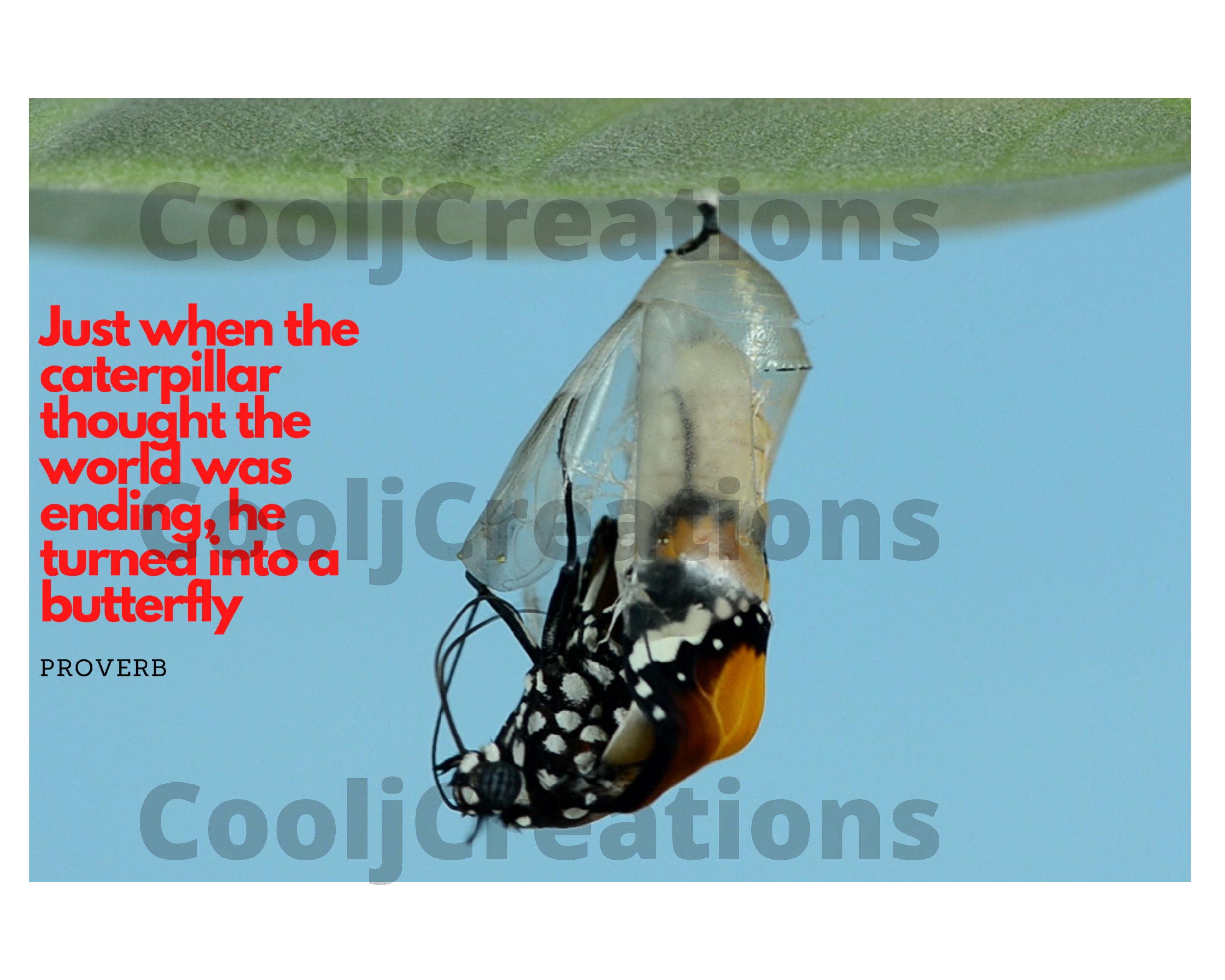 Inspirational Poster Clipart, Digital Proverb Poster, Inspirational ...