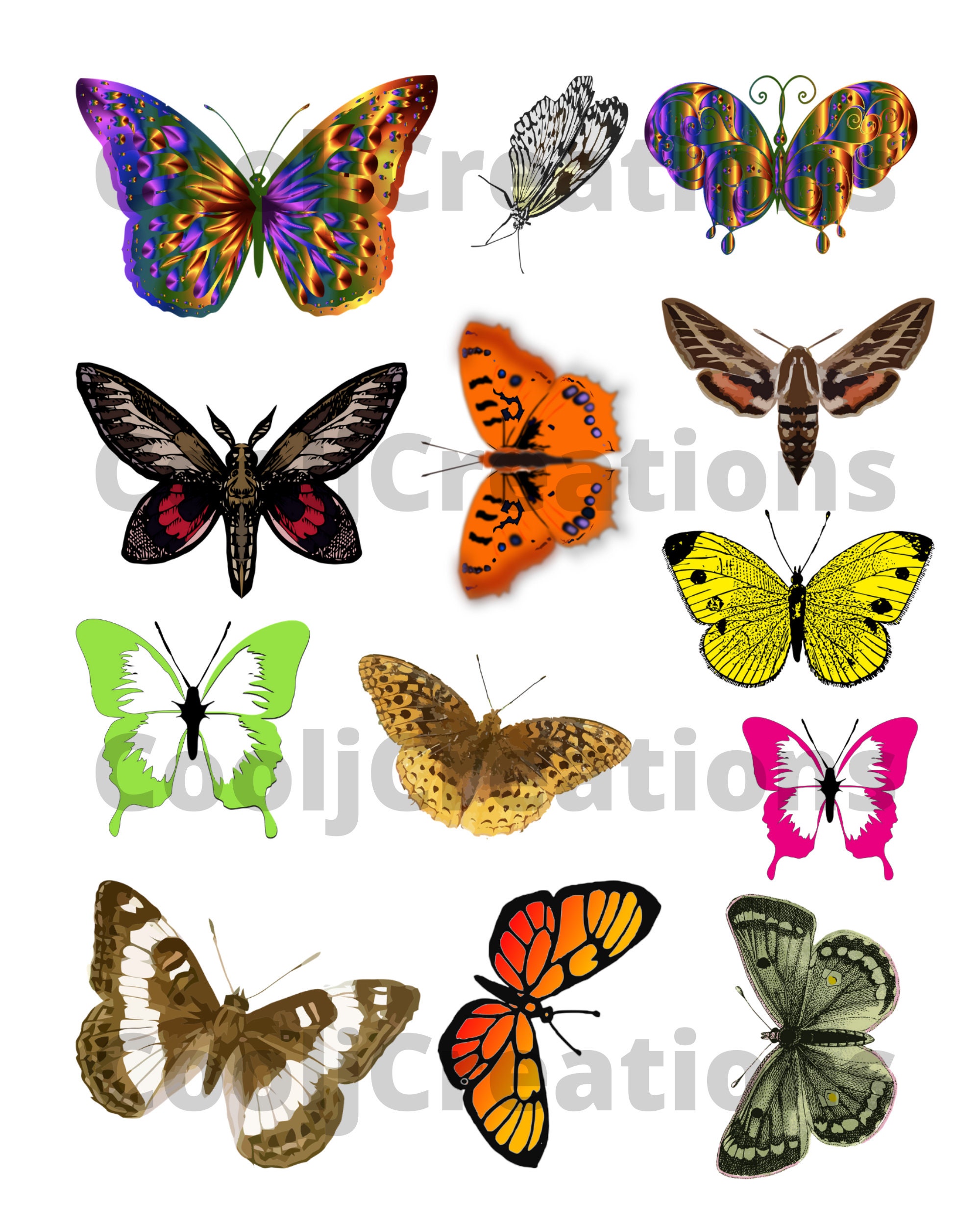 Beautiful Butterfly Clip Art, Butterfly Images, Butterfly Pictures for ...