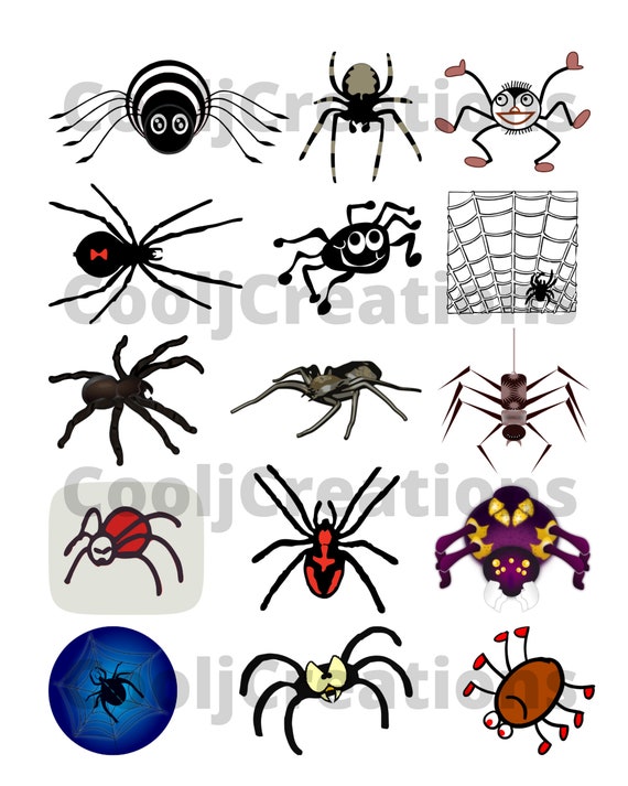 Spiders Clip Art Spider Images Spider Icons for | Etsy