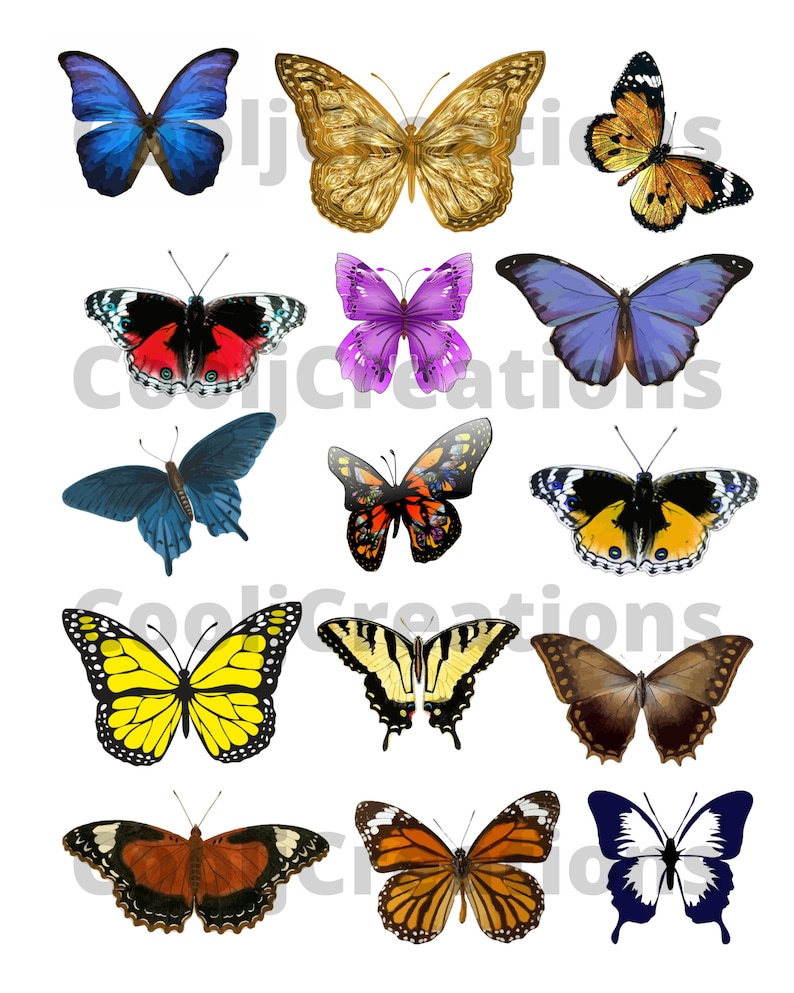 Colorful Butterfly Clip Art for Scrapbooking, Journals and Diaries ...