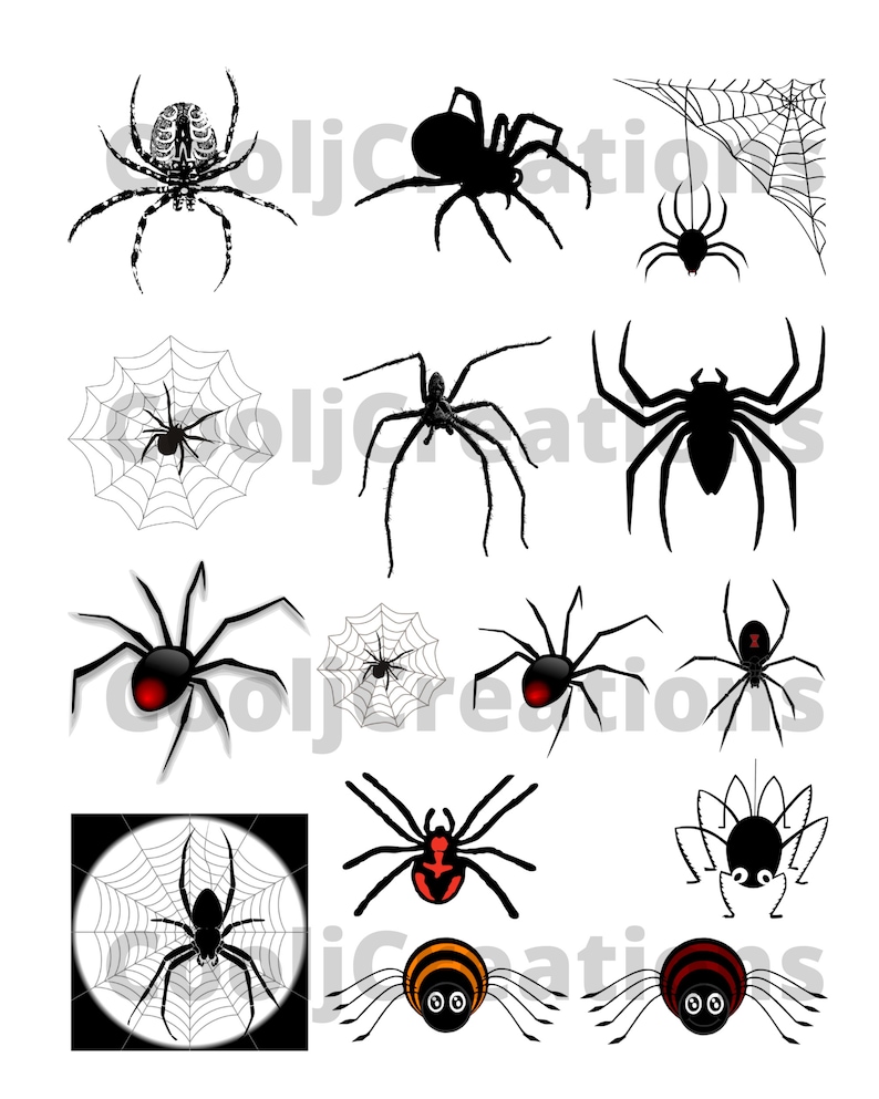 Spiders Clip Art, Spider Images, Spider Icons for Scrapbooking ...