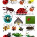 Bugs Clipart, Insects Clipart, Bug Images, Bug Icons for Scrapbooking ...