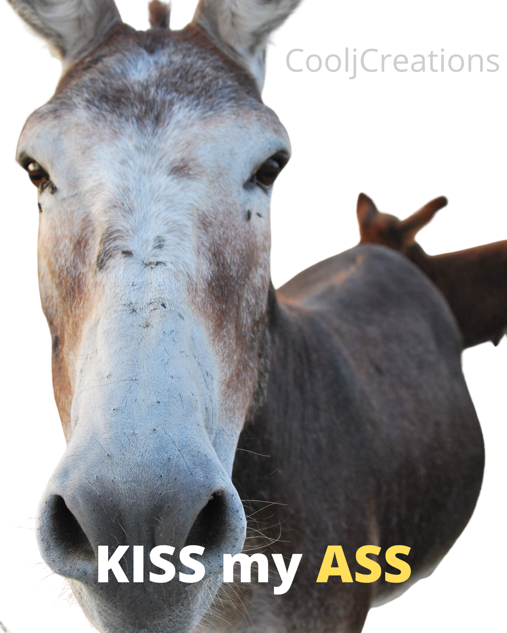 Humorous Poster KISS My ASS Poster Kiss My Ass Image Poster - Etsy