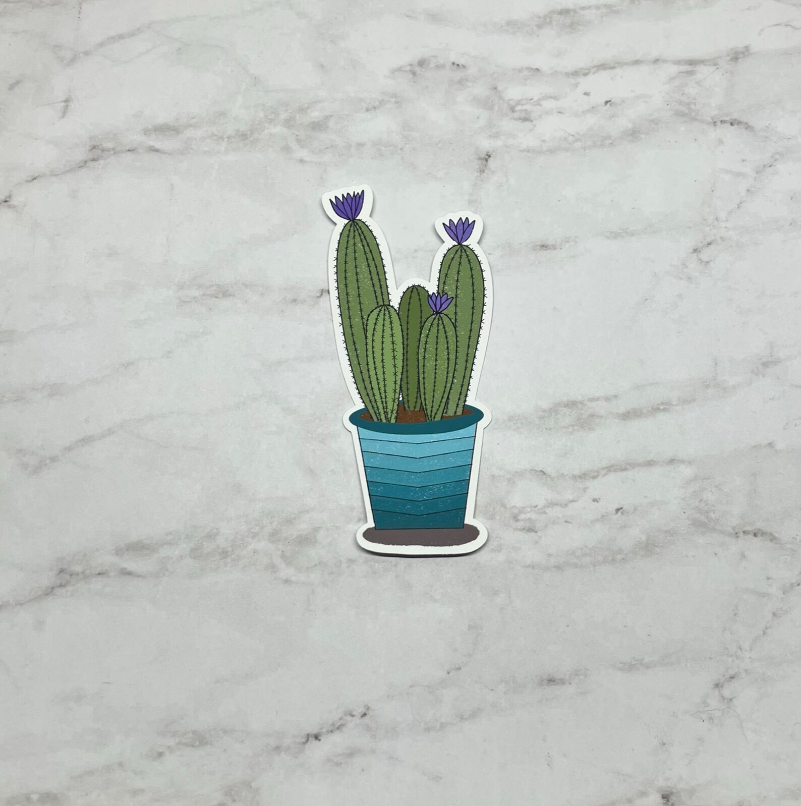 Potted Cactus Vinyl Sticker - Etsy