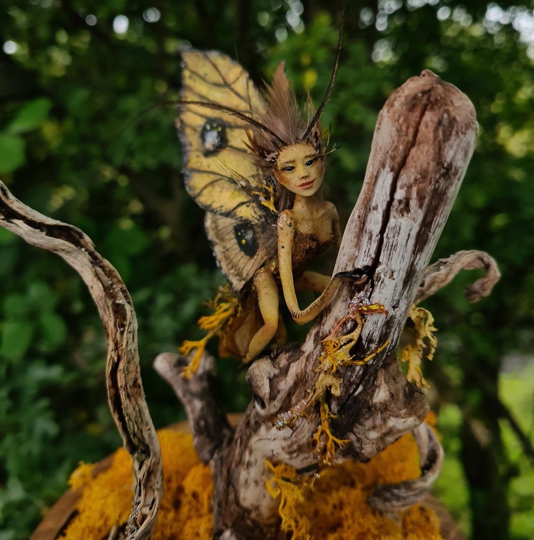 Ooak Miniature Fantasy Butterfly Mantis Insect Fairy Bug Art Doll ...