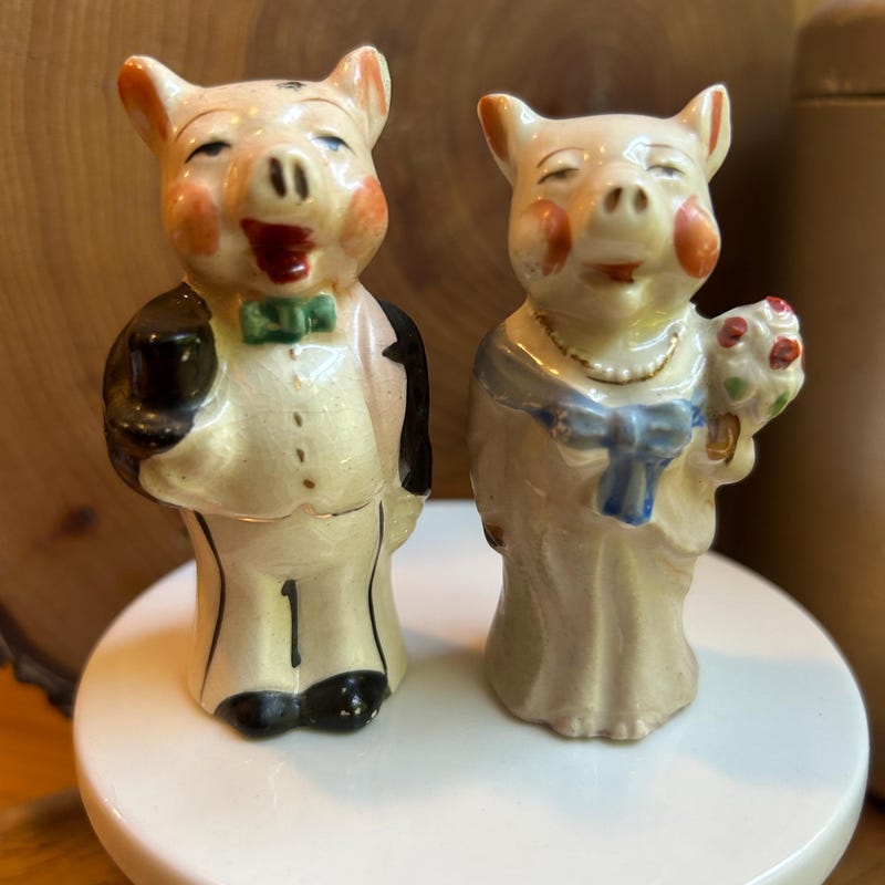 Pig Bride and Groom - Etsy
